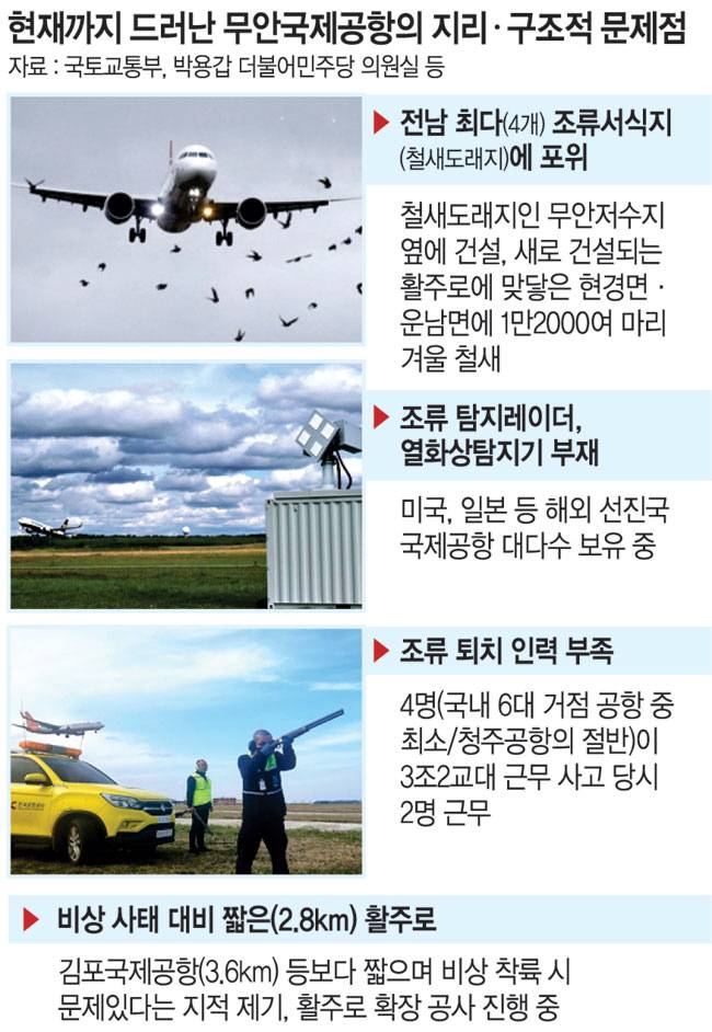 공항 주변 철새도래지 4곳 퇴치인력은 청주공항의 절반
