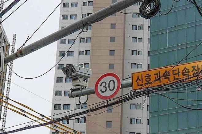 이걸 이제야 알았어 경찰 보이면 더 난리나는 이유 닷키프레스