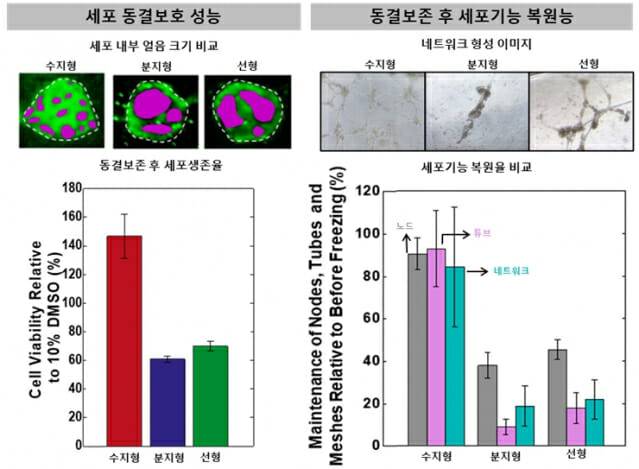 동결세포 90 원상복구 성공배터리 결빙방지에 활용 가능할까