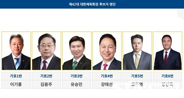 직원 탓·뭐가 문제 검증無 아무 말 잔치된 체육회장 정책 토론회