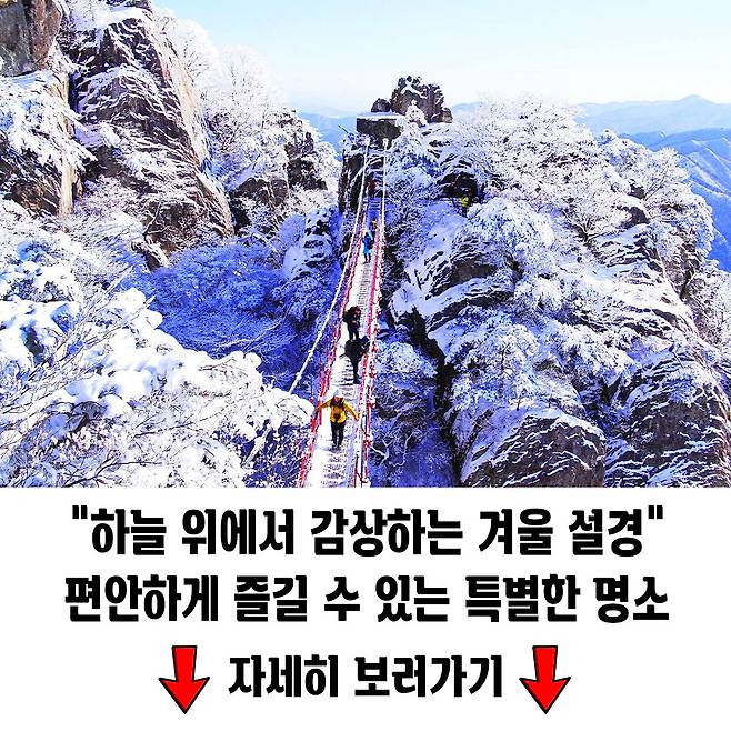 절정의 붉은 동백꽃이 만개한 제주 숨겨진 무료 명소 2곳 여행을말하다