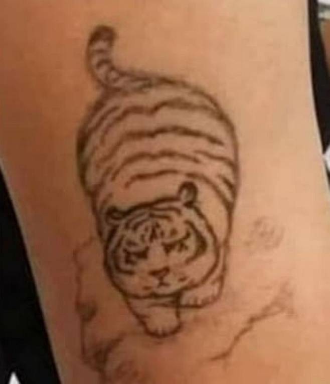 무시무시한 호랑이 타투 하러갔다가 뜻밖의 결과물에 당황한 손님 애니멀 플래닛