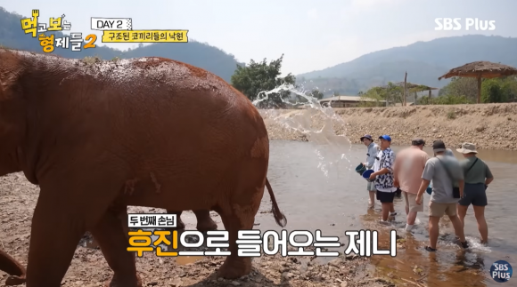 한국인들도 태국 가면 하는데 22세 여학생 ‘코끼리 목욕 체험 도중 숨져