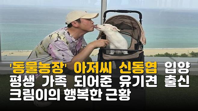 일하다 폰보는 옆자리 형이 멋있었던 이유 심리테스트 해볼래