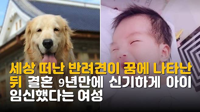 꿈 속에 아빠가 나왔는데 당황스럽네 심리테스트 해볼래
