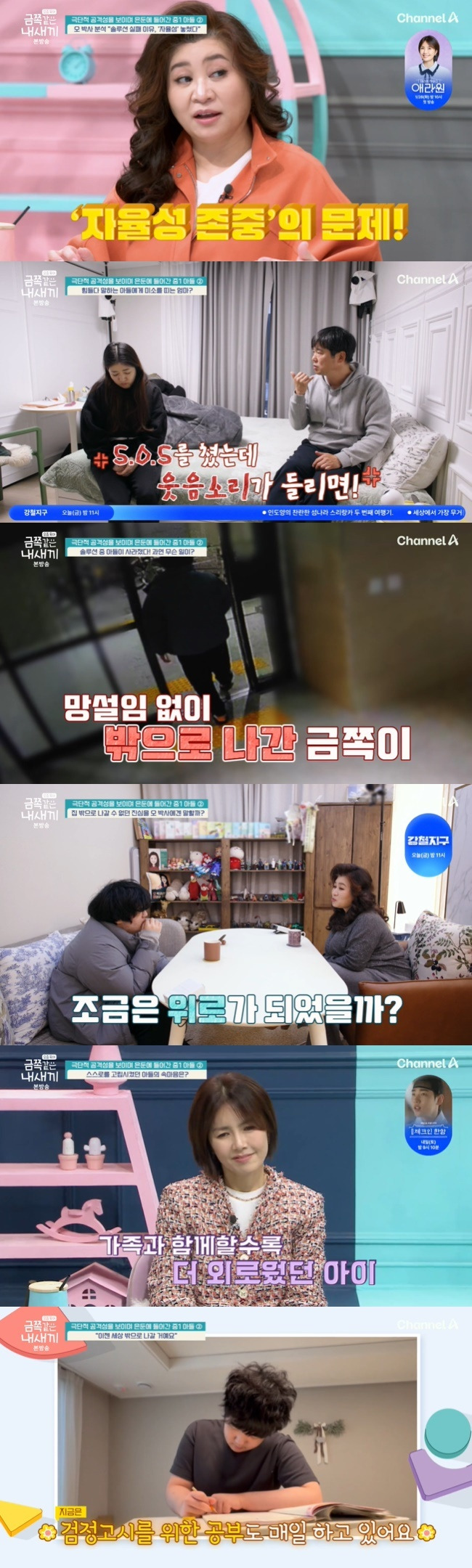 母 공격하던 은둔 금쪽이 칭찬받고 싶었다” 속마음→4개월만 외출금쪽 어제tv
