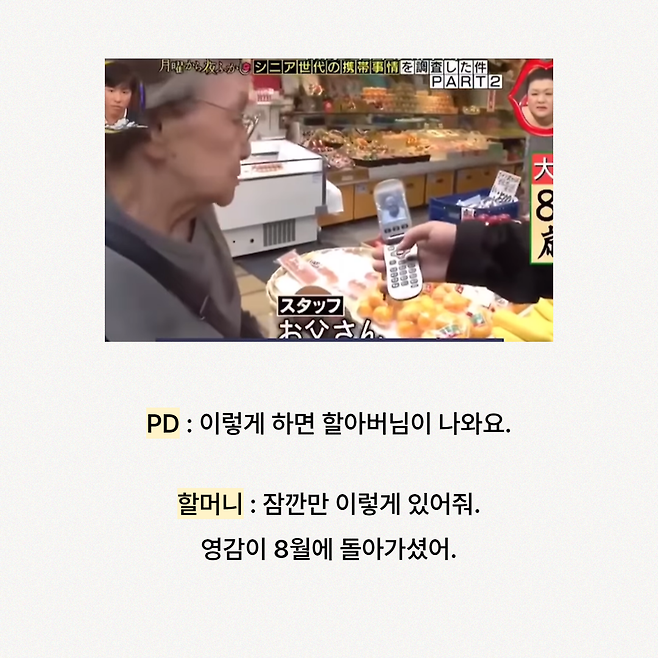 일본 전역을 울린 할머니 갤러리 속 사진의 정체 성장세포