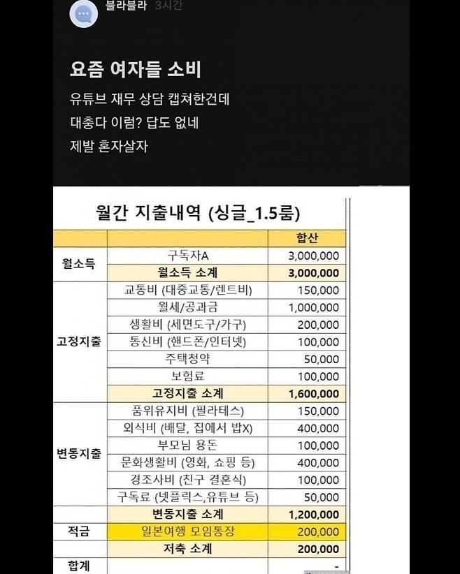 300 버는 여자 소비내역 과소비 지식한스푼