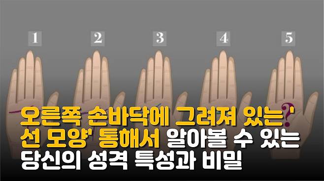 할머니가 밥 먹자 했더니 어디선가 귀여운 댕댕이들이 우르르 나왔어요 애니멀 플래닛