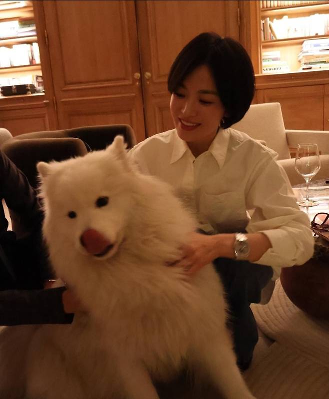 송혜교 파리로 떠나 돌연 단발요정 수수한 친근감 100배 화이트 셔츠룩 뷰티는 내운명
