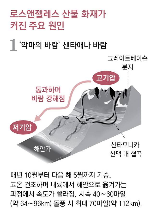 작년 겨울 ‘폭우에 자란 La 초목 올겨울 ‘가뭄에 불쏘시개로