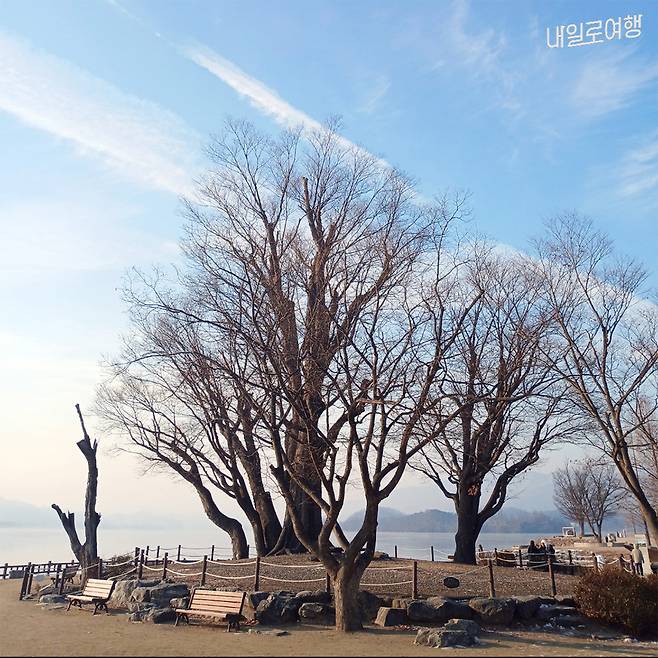겨울 감성 충전 두물머리 여행 내일로여행