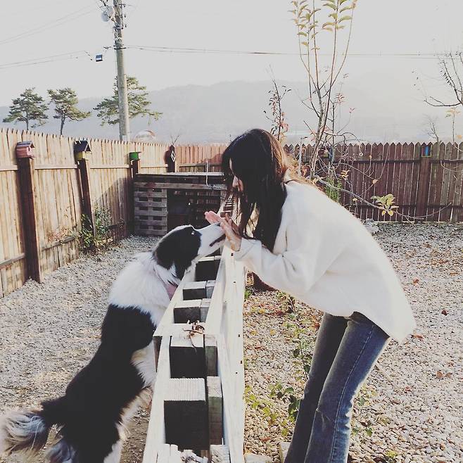 빅뱅 거짓말 뮤비 여주 실력파 배우로 변신한 여배우 데일리 스타일링 라이프업