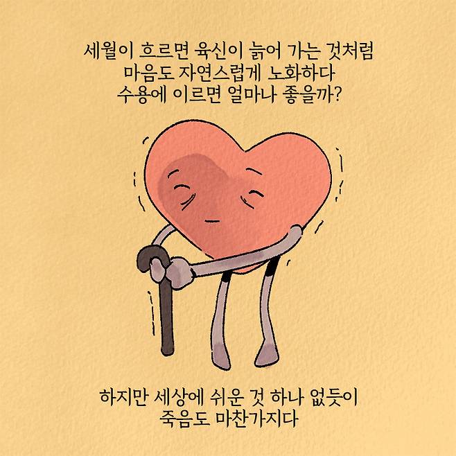 호스피스 의사 曰 부모님이 돌아가시기 직전에 꼭 하는 이 말 책썰미