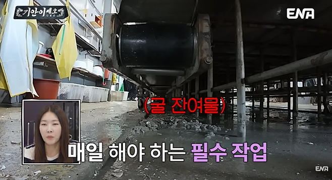 요즘 젊은이들이 거의 바닷일 안하는 이유 성장곰
