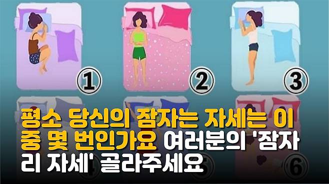 소파에 앉아 집사랑 같이 Tv 보다가 졸렸는지 그대로 눈 감고 잠든 고양이 애니멀 플래닛