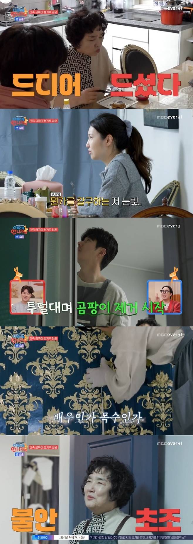 종합 지조 첫 출연료 소식에 父母 못 믿어 계약서 써야”→신정윤 쉬는 날 벽 도배까지 ‘다 컸는데 안 나가요