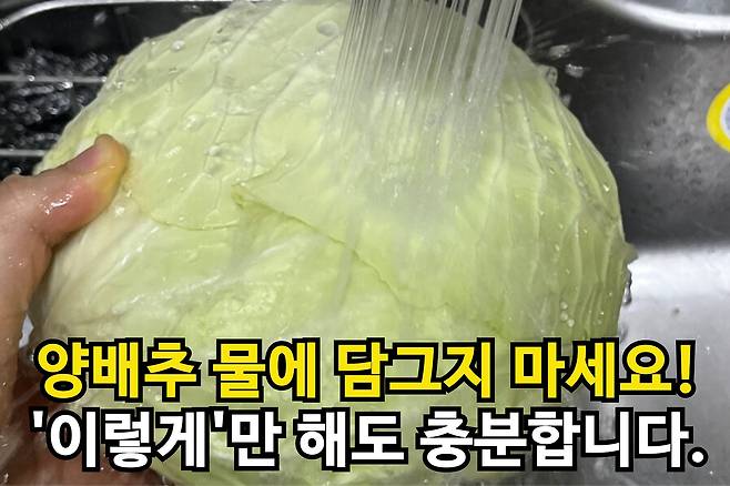 계란 껍데기 그냥 버리지 마세요 알아두면 평생 유용한 계란껍데기 활용법 텐꿀팁