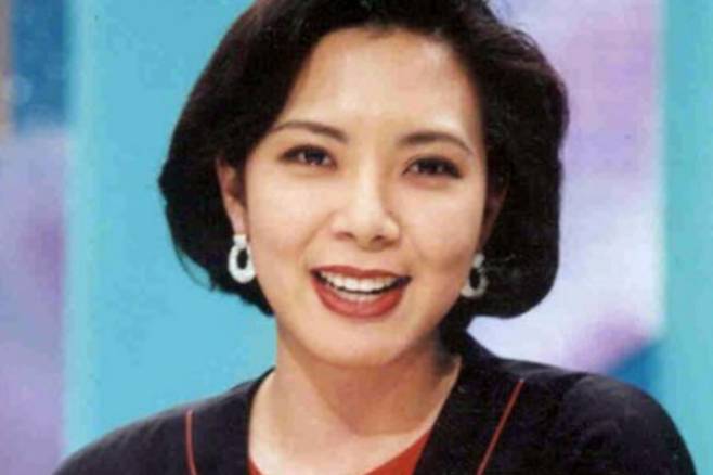 27살 연상 재벌과 이혼하자마자 재혼·임신 발표한 미모의 톱 방송인 뉴스에이드