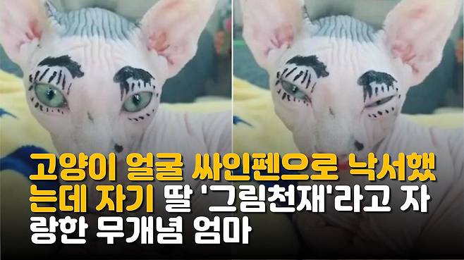 아기가 서럽게 울자 걱정됐는지 조심스럽게 유모차 향해 앞발 내민 고양이 애니멀 플래닛