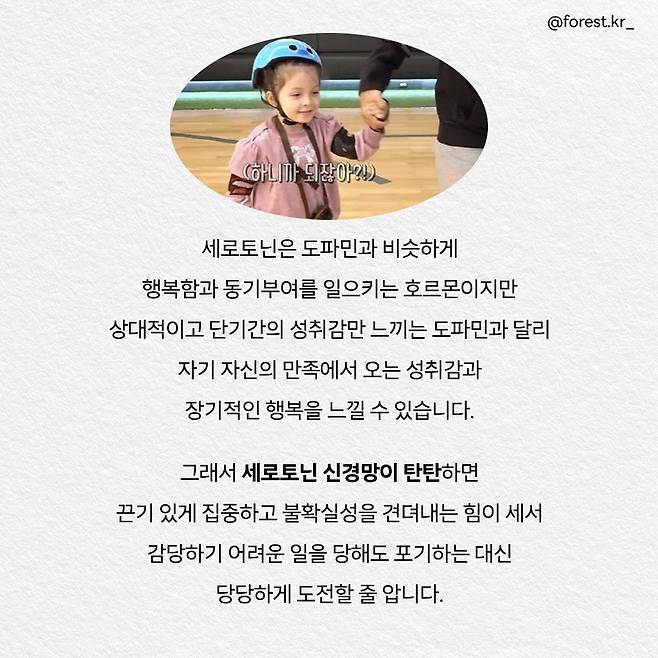 일타강사 曰 상위 1 공부 잘하는 아이들은 이 예쁘다 꿀벌책방