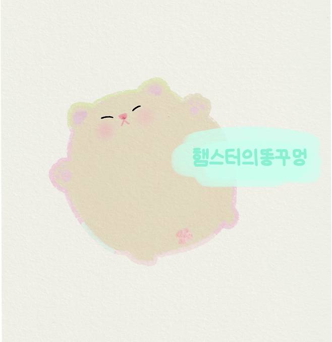 당신은 이 사진을 이해할 수 있습니까 웃긴대학