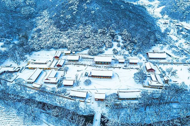 눈꽃과 동백의 환상 조화 부모님도 반한 겨울 힐링 명소 여행을말하다