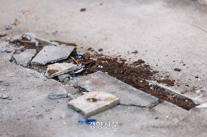 서부지법 폭력 가담자 지키기에 앞장선 ‘전광훈의 사람들