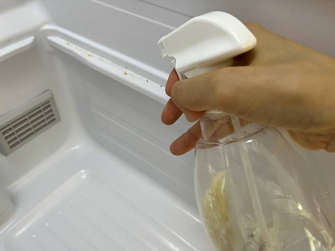 냉장고 청소 시 이것 뿌리세요 깜짝 놀랄 만한 효과가 나타납니다 텐꿀팁