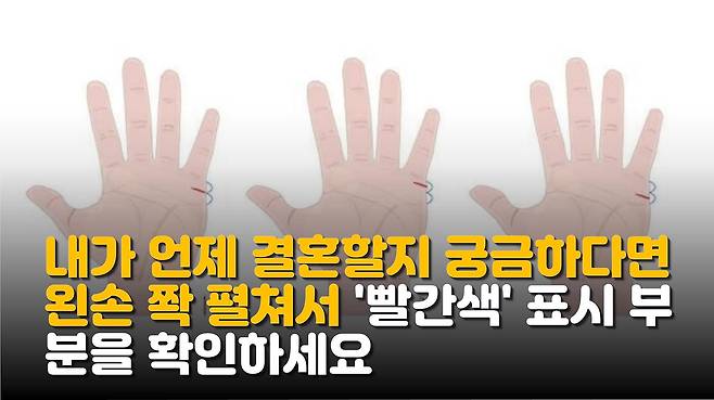동상 보고 진짜 사람인 줄 오해하고 계속 장난감 던져달라 조르는 강아지 애니멀 플래닛