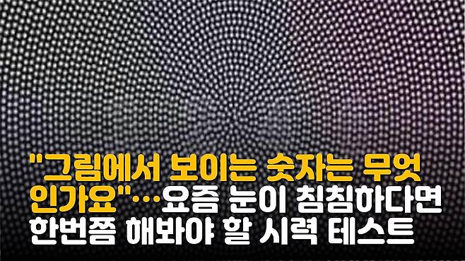 햄스터 탈출 한 줄 알고 놀라서 겨우 찾았는데 저보고 웃고있네요 애니멀 플래닛