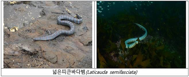 2월의 수산물 전복·아귀여행지는 태안 가경주마을·통영 두미남구마을