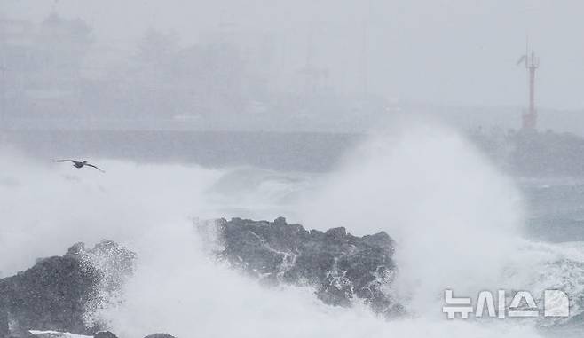 한라산에 1m 넘는 폭설제주 항공기 결항·도로 통제