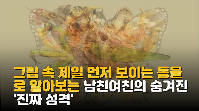 역대급 한파에 고양이들 추울까봐 난로 켰더니 벌어진 일 애니멀 플래닛