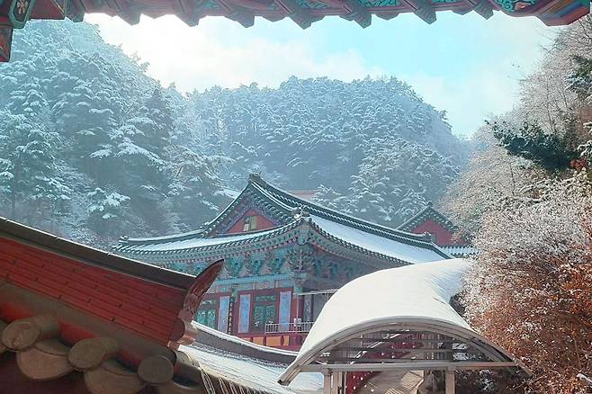 입장료 없이도 충분하다 아름다운 무료 설경 명소 추천 2곳 여행을말하다