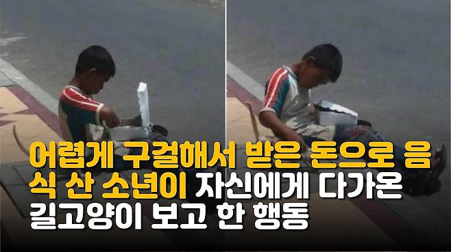 몰래 집밖 나가는 댕댕이 숟가락 하나로 해결하는 방법 애니멀 플래닛