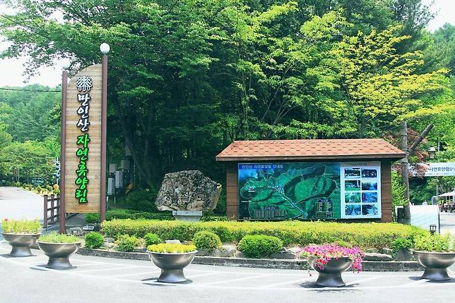 사람들이 몰릴 만하네 2천만 명이 찾은 최고 힐링 명소 여행을말하다