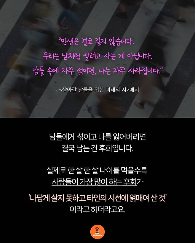 나이 먹을수록 더 가슴 후벼파는 인생의 후회 1위 퍼스트펭귄