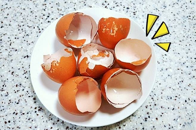버려지는 계란 껍데기 이렇게 해보세요 유용한 활용법 3가지 쏙쏙팁