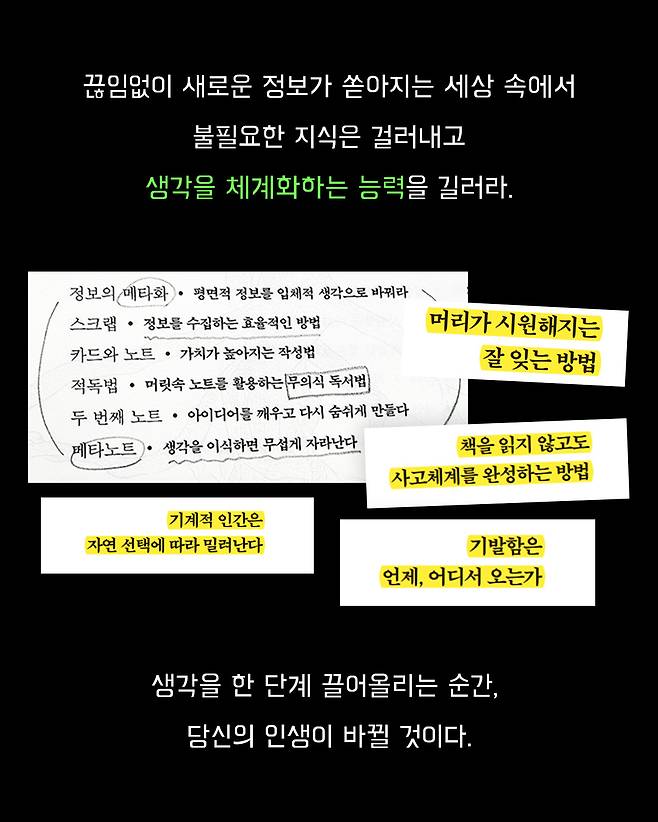 볼수록 내 인생 반성하게 되는 사회 풍자 그림 6장 꿀벌책방