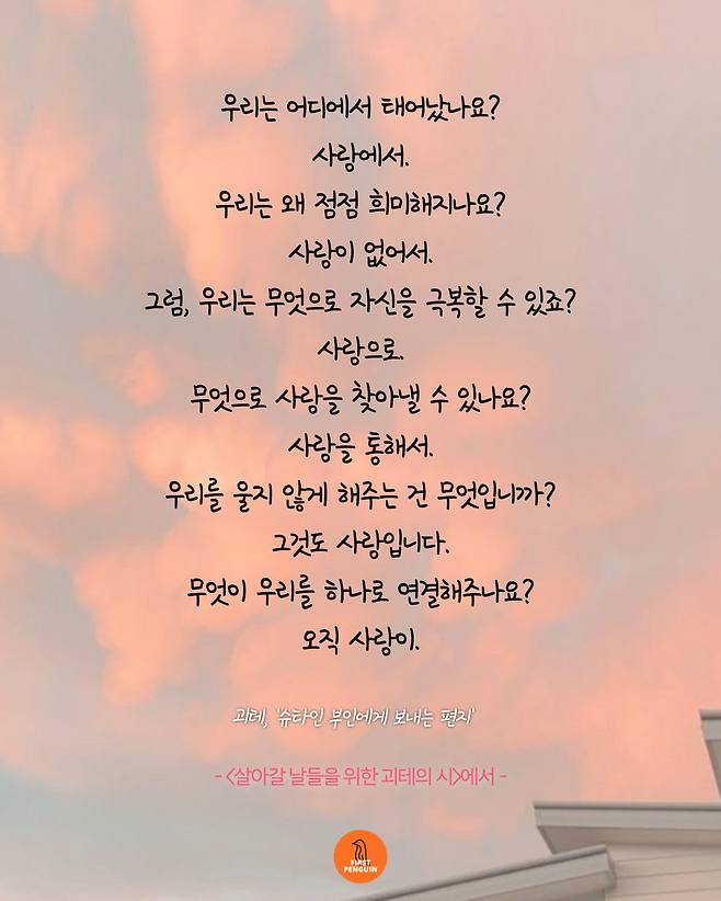 삶이 원망스러웠는데” 눈물 왈칵 나는데 너무 감동적인 박시은 배우의 ‘이 말 퍼스트펭귄