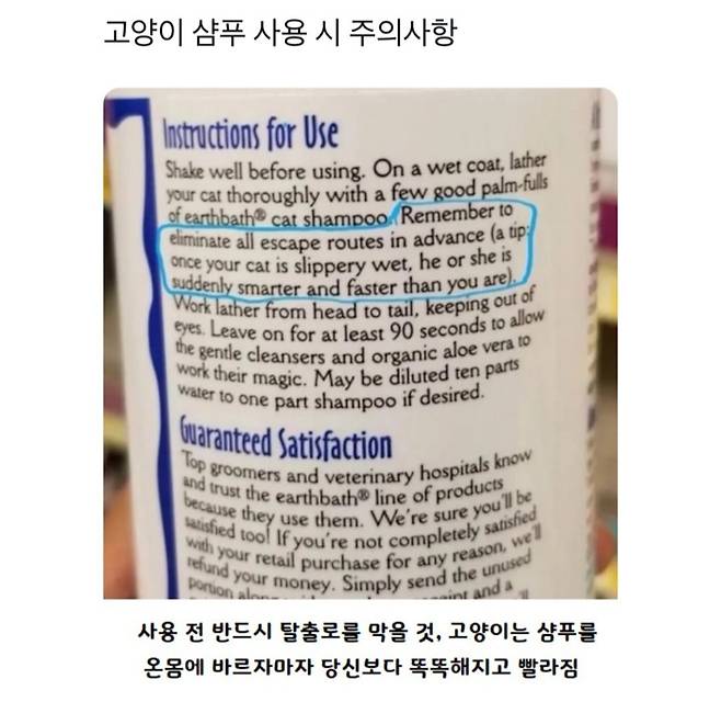 고양이 샴푸 사용 시 주의사항 뽐뿌