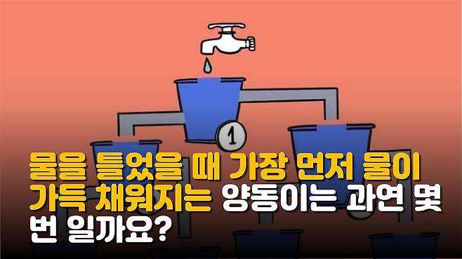 옆집 훔쳐보는 강아지들 궁금했던 아기가 결국 따라하고 있어요 애니멀 플래닛