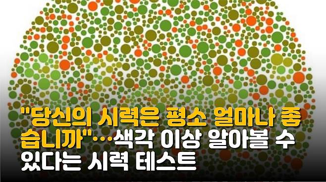 입던 옷 버리기 아까워 고양이 입혔더니 너무 후줄근해서 미안해요 애니멀 플래닛