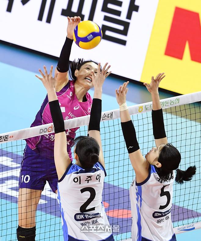만원 관중 앞에서 빛난 김연경의 라스트댄스 흥국생명 파죽의 11연승1위 확정 ‘초읽기 현장리뷰