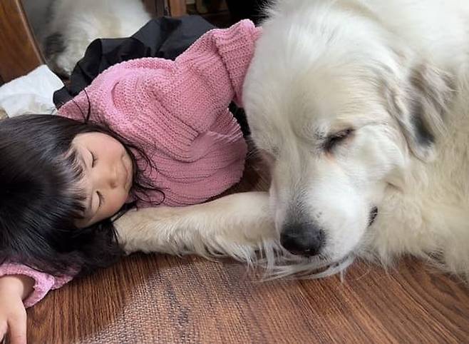 바닥에 누워있는 두살배기 아기 위해 자신의 앞발로 베개해주는 강아지 애니멀 플래닛