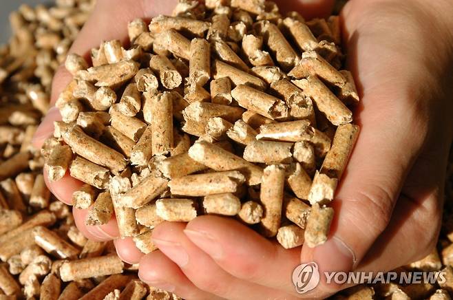 영동에코발전 수입산 목재펠릿 사용 못 하면 가동 중단 우려