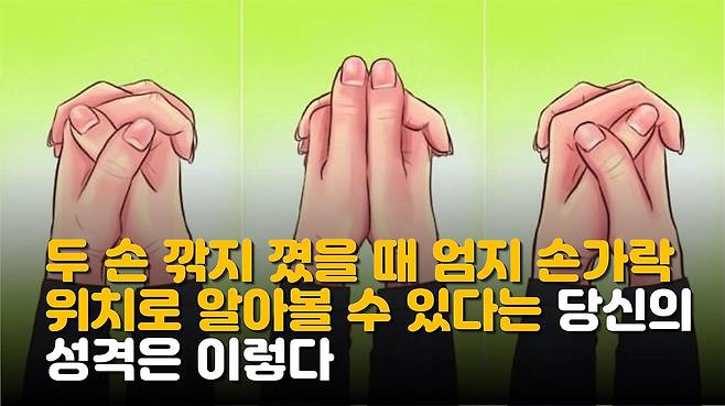 매일 창밖만 바라보는 고양이 궁금했던 강아지가 결국 따라하네요 애니멀 플래닛