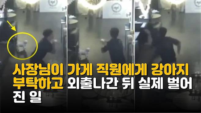 강아지가 무슨 걱정이 있는지 계단에 앉아서 밖에만 쳐다봐요 애니멀 플래닛
