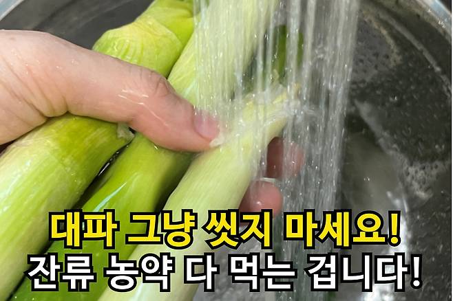 식은 밥 그냥 버리지 마세요 이렇게 하면 갓 지은 밥처럼 맛있습니다 텐꿀팁